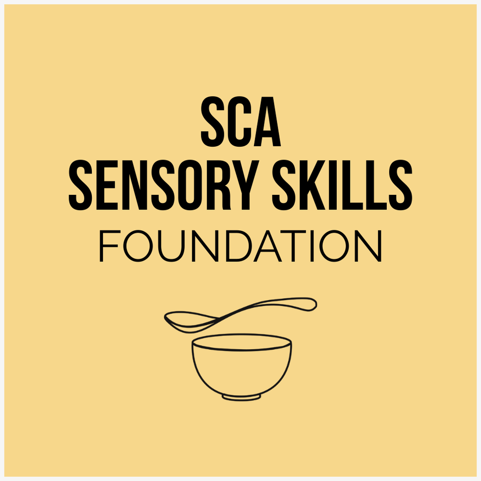 SCA Sensory Skills Foundation Course – Prufrock Barista Training Centre