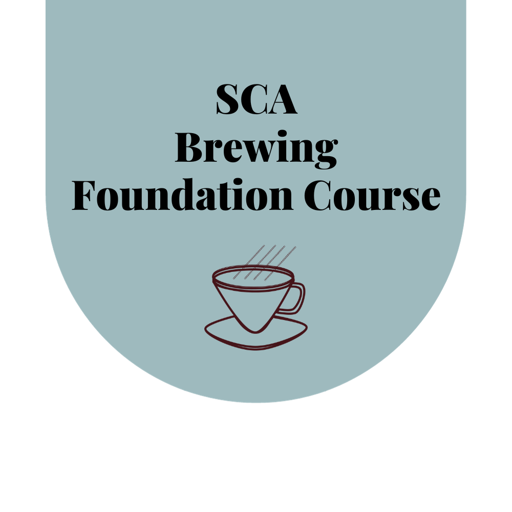 Professional SCA Courses – Prufrock Barista Training Centre