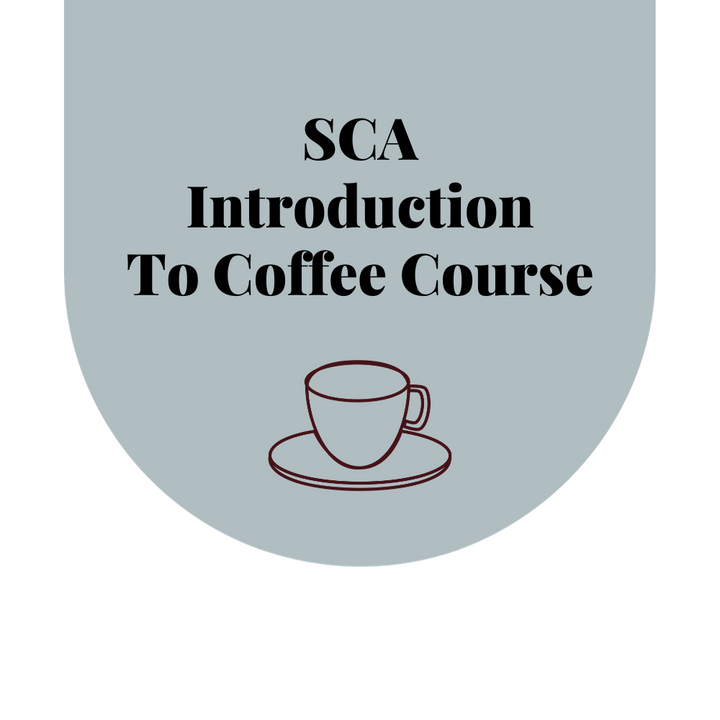 Professional SCA Courses – Prufrock Barista Training Centre