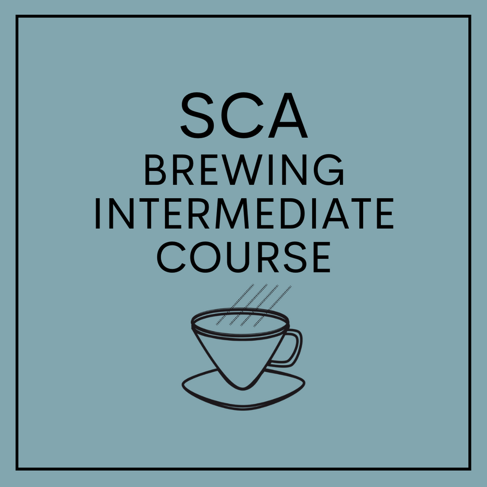 SCA Brewing Intermediate Course – Prufrock Barista Training Centre