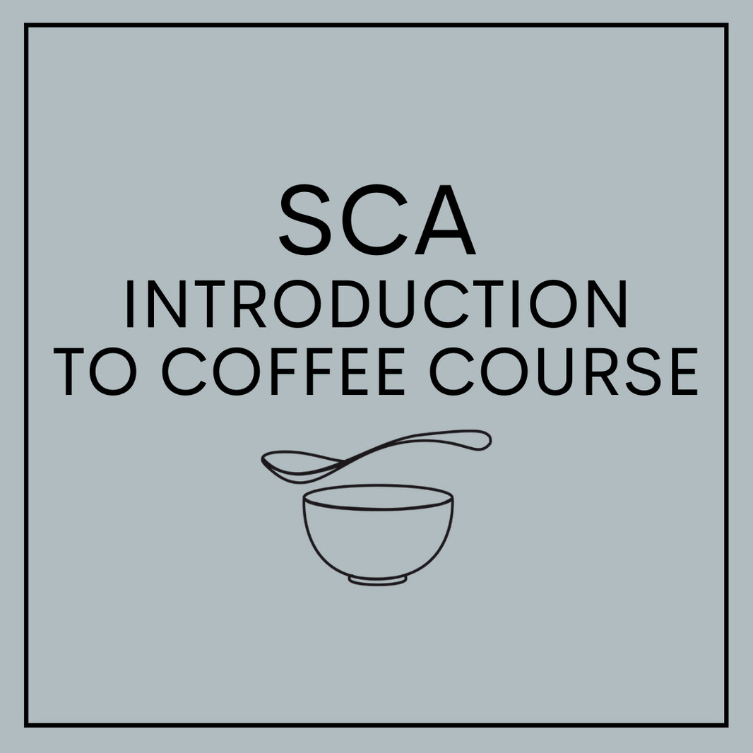 SCA Sensory Skills – Prufrock Barista Training Centre