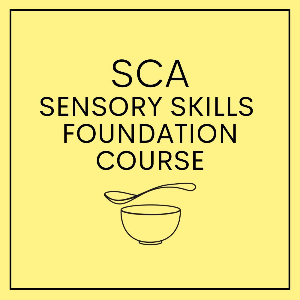 SCA Sensory Skills Foundation Course – Prufrock Barista Training Centre